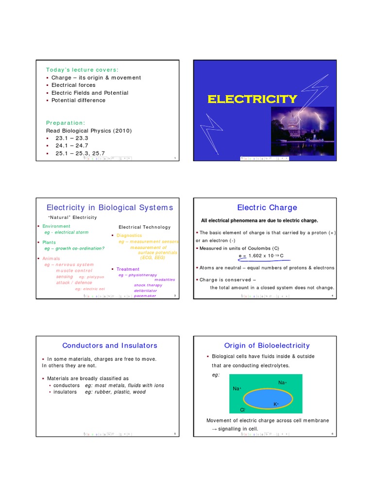Electricity Electricity: Electricity in Biological Systems | PDF ...
