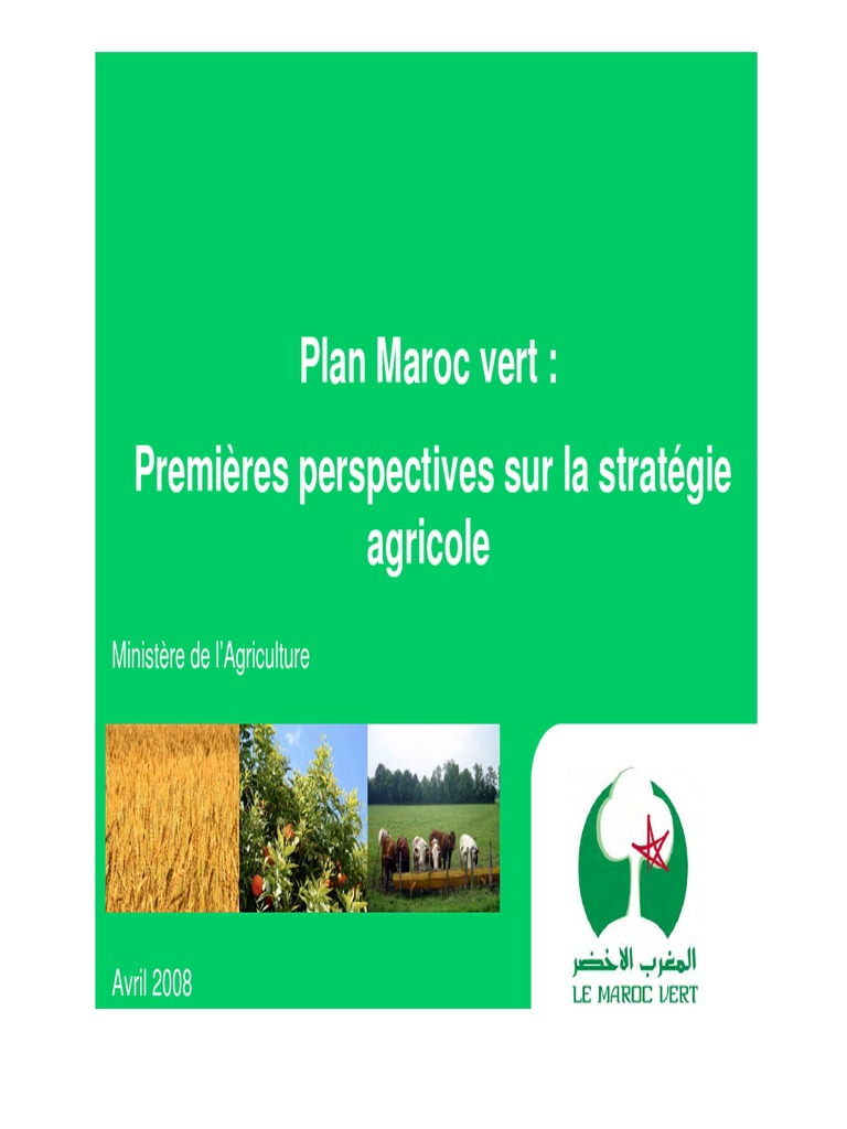 Plan Maroc Vert | PDF