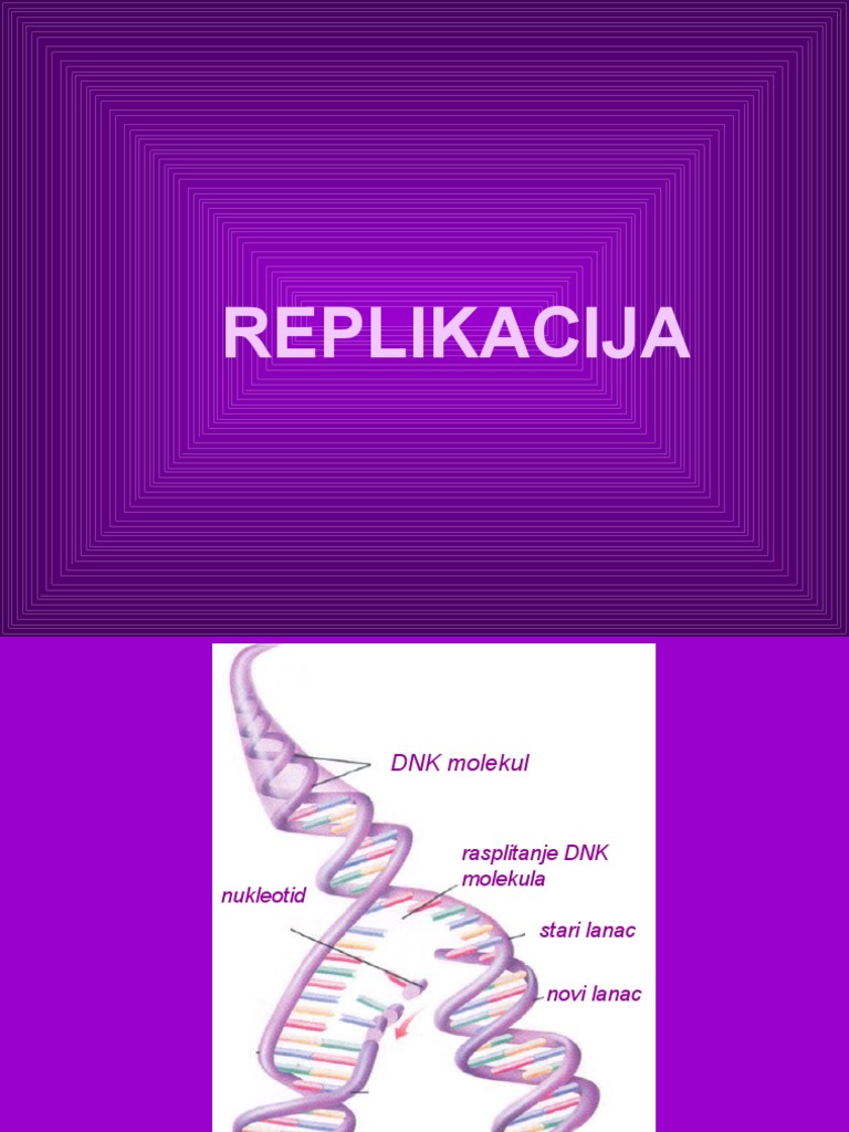 2.replikacija DNK | PDF