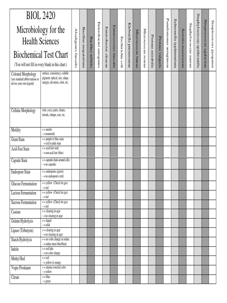 Biochemical Test Chart | PDF | Microbiology | Prokaryote