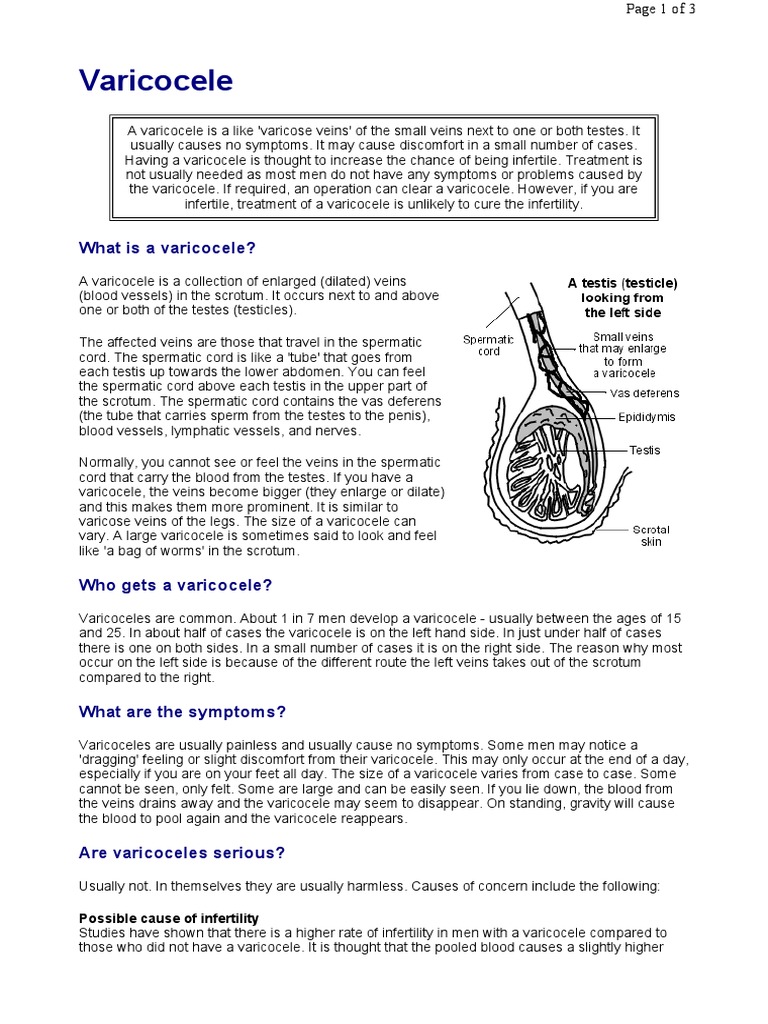 vARICOCELE3 PDF | PDF | Testicle | Medicine