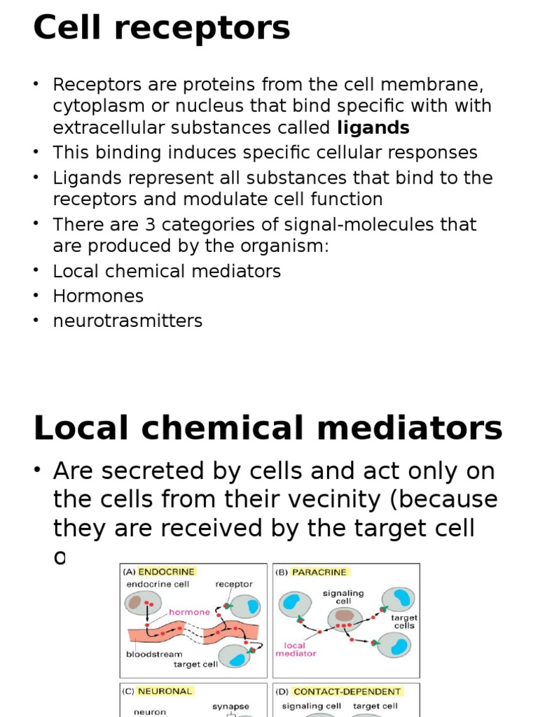 Cell Receptors | PDF | Receptor (Biochemistry) | Hormone