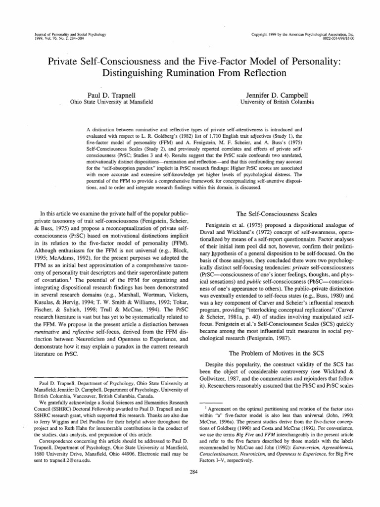 Distinguishing Rumination From Reflection | PDF