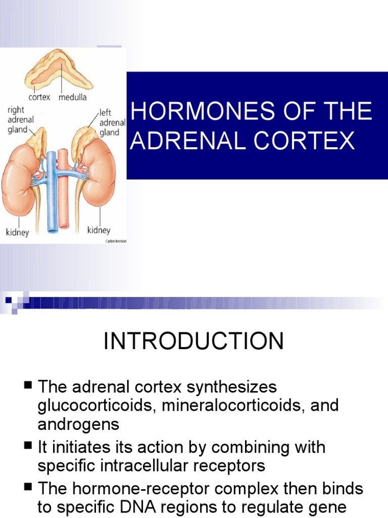 Hormones of the Adrenal Cortex 1-13 | Adrenal Gland | Cortisol