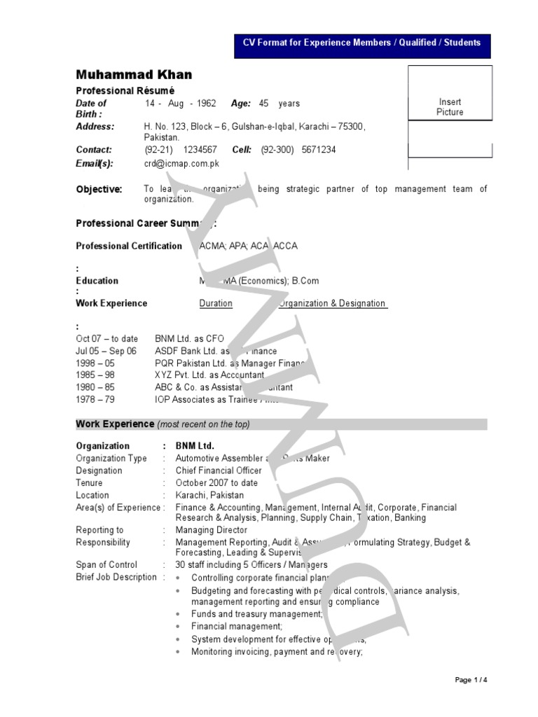 Dummy Experience CV | Internal Control | Chief Financial Officer