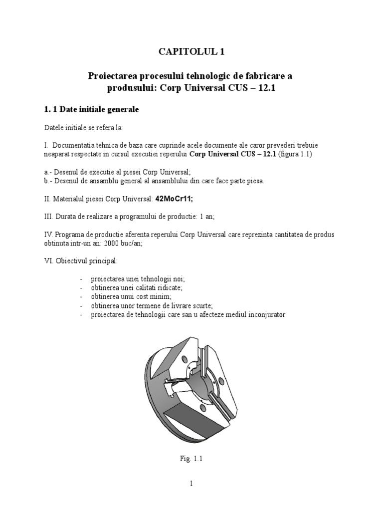 Proiect de Licenta Final Final TFP | PDF