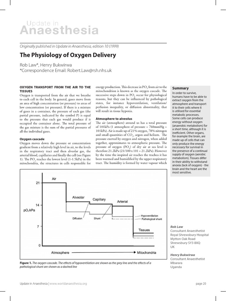 The Physiology of Oxygen Transport from the Air to the Tissues | PDF ...