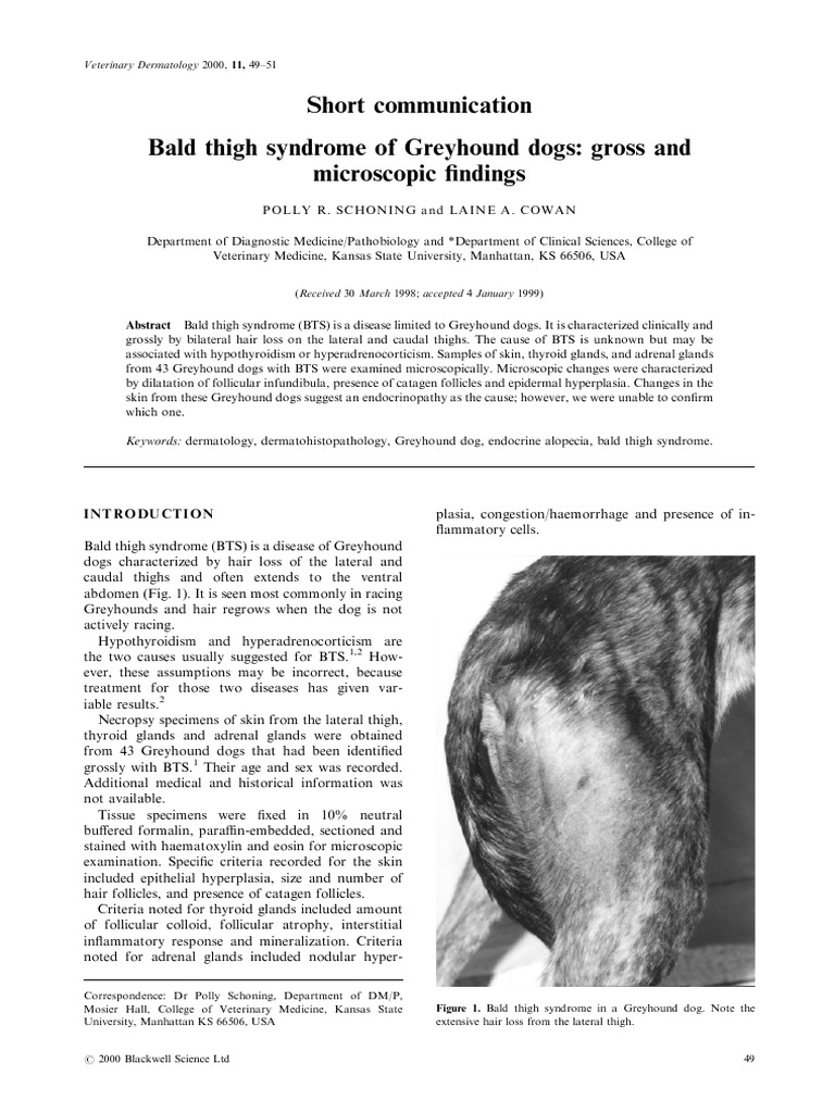 Bald Thigh Syndrome of Greyhound Dogs - Gross and Microscopic Findings ...