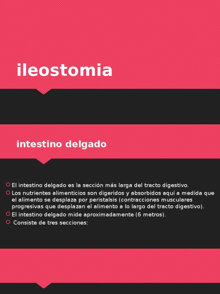 Tipos y cuidados de ileostomía | PDF | Intestino delgado | Sistema ...