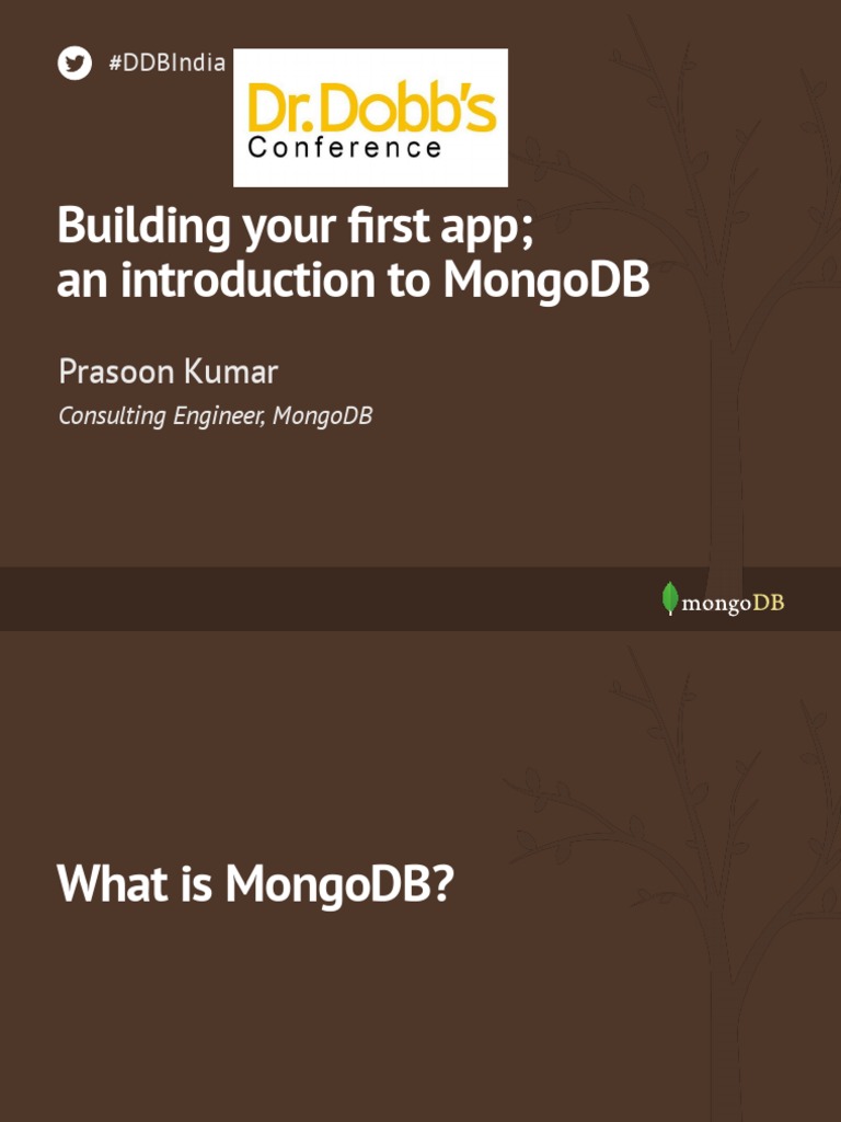 MongoDB Schema Design | PDF | Mongo Db | No Sql
