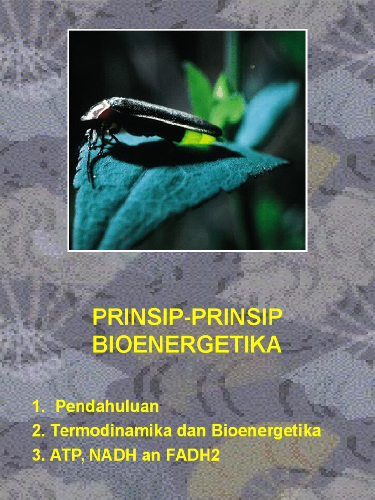 Bioenergetika | PDF