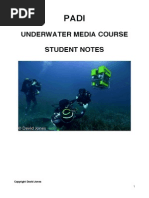 Risk Assessment: Sub Aqua Association | PDF | Scuba Diving | Risk