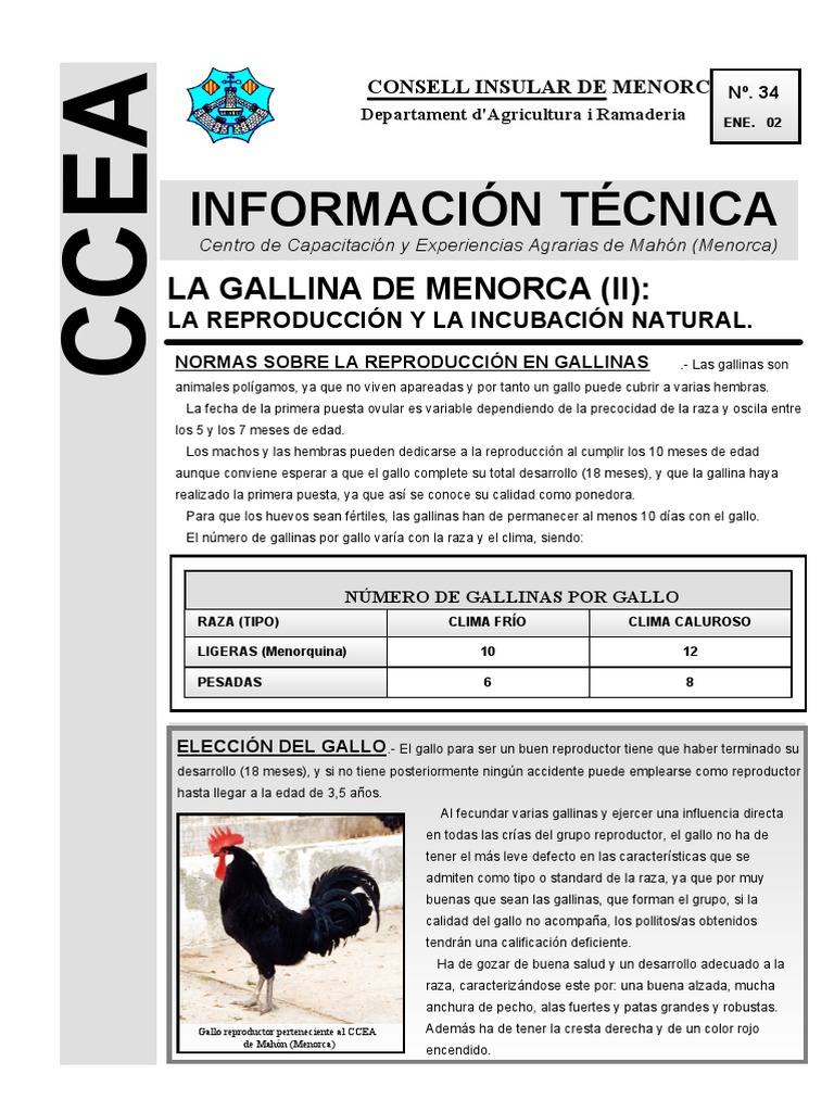 Tiempo de Incubación de Las Aves | Pollo | Huevo