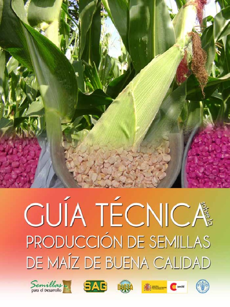 Guía Técnica Maíz Light PDF | PDF | Maíz | Siembra