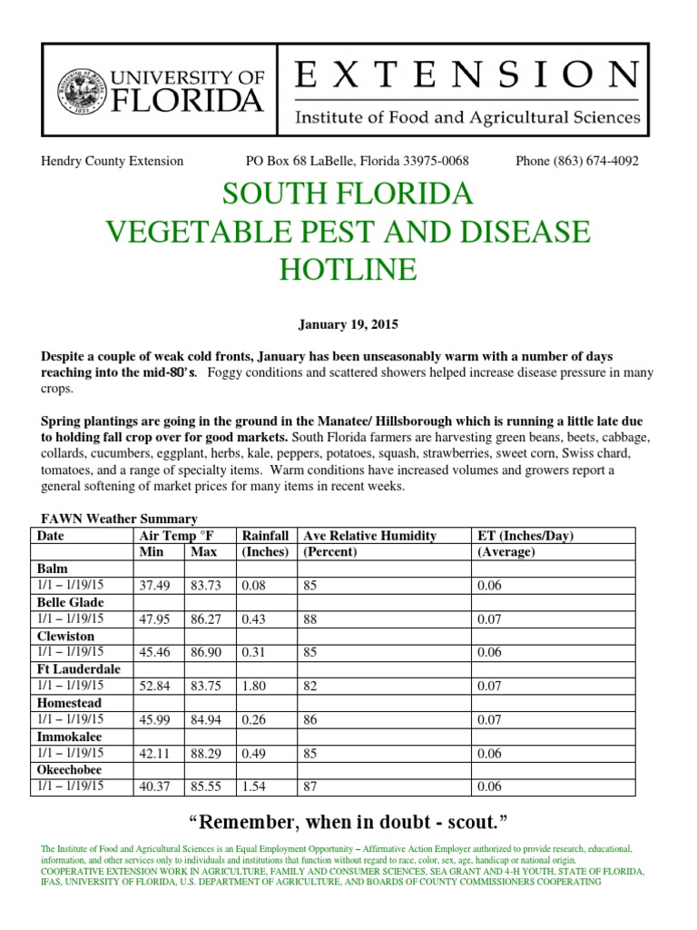South Florida Vegetable Pest Update | PDF | Horticulture And Gardening ...