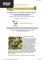 FFB Grading | PDF | Fruit | Palm Oil