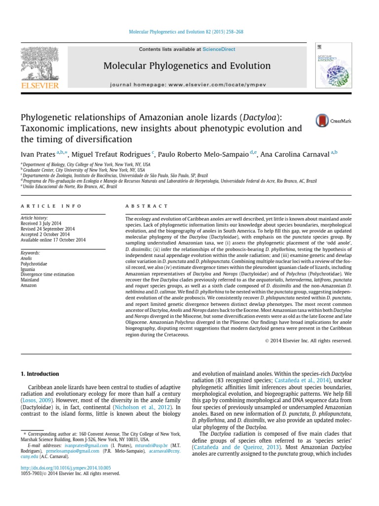MPE Amazonian Dactyloa Anoles | PDF | Phylogenetic Tree | Molecular ...