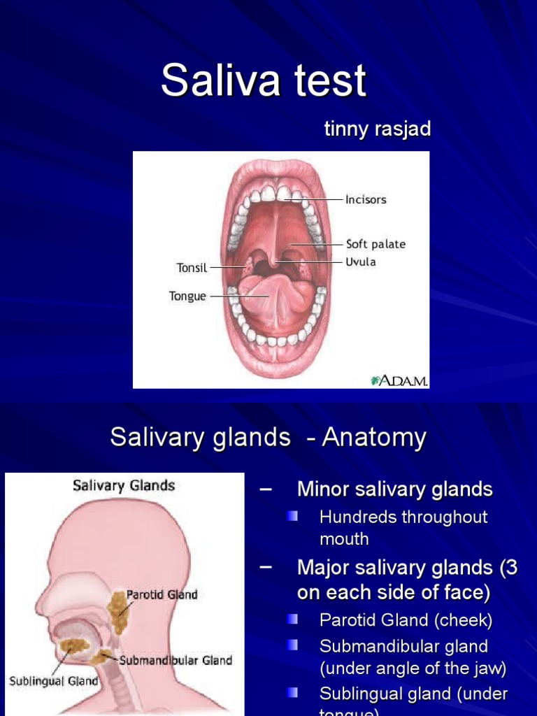 Saliva Test | PDF | Saliva | Clinical Medicine