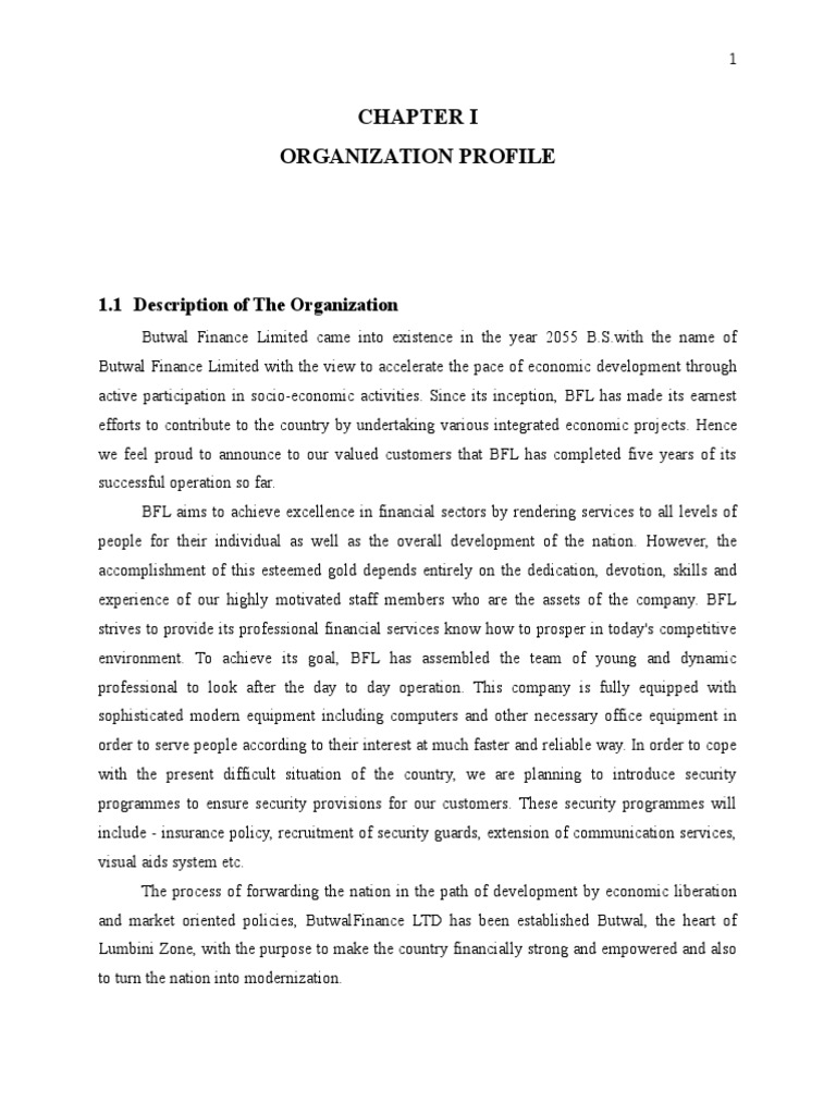 Organization Profile: 1.1 Description of The Organization | PDF | Banks ...