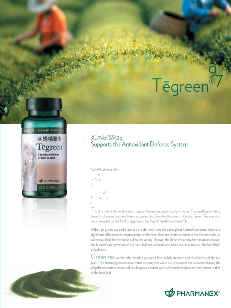 Tegreen Leaflet CH/EN | PDF | Green Tea | Antioxidant