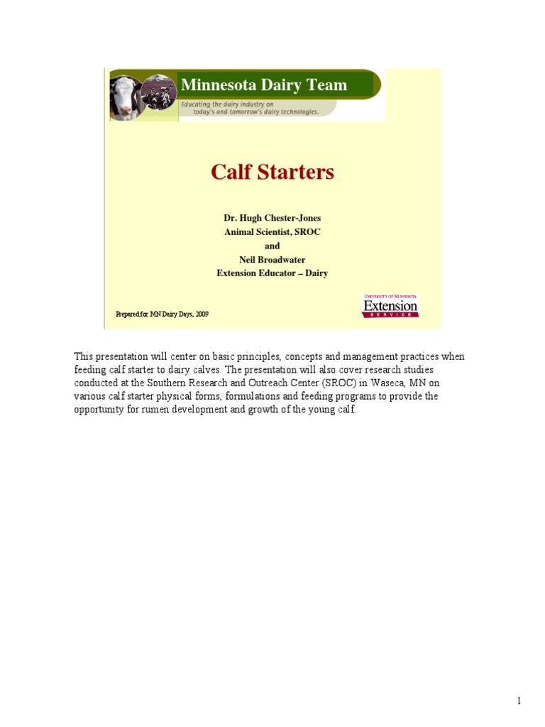 Calf Starter Feed Formulation Insights | PDF | Calf | Weaning