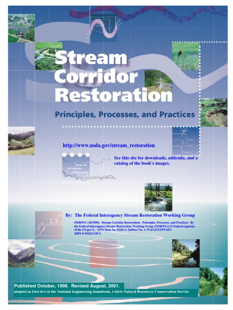 Stream Corridor Restoration Principles, Processes, and Practices | PDF ...