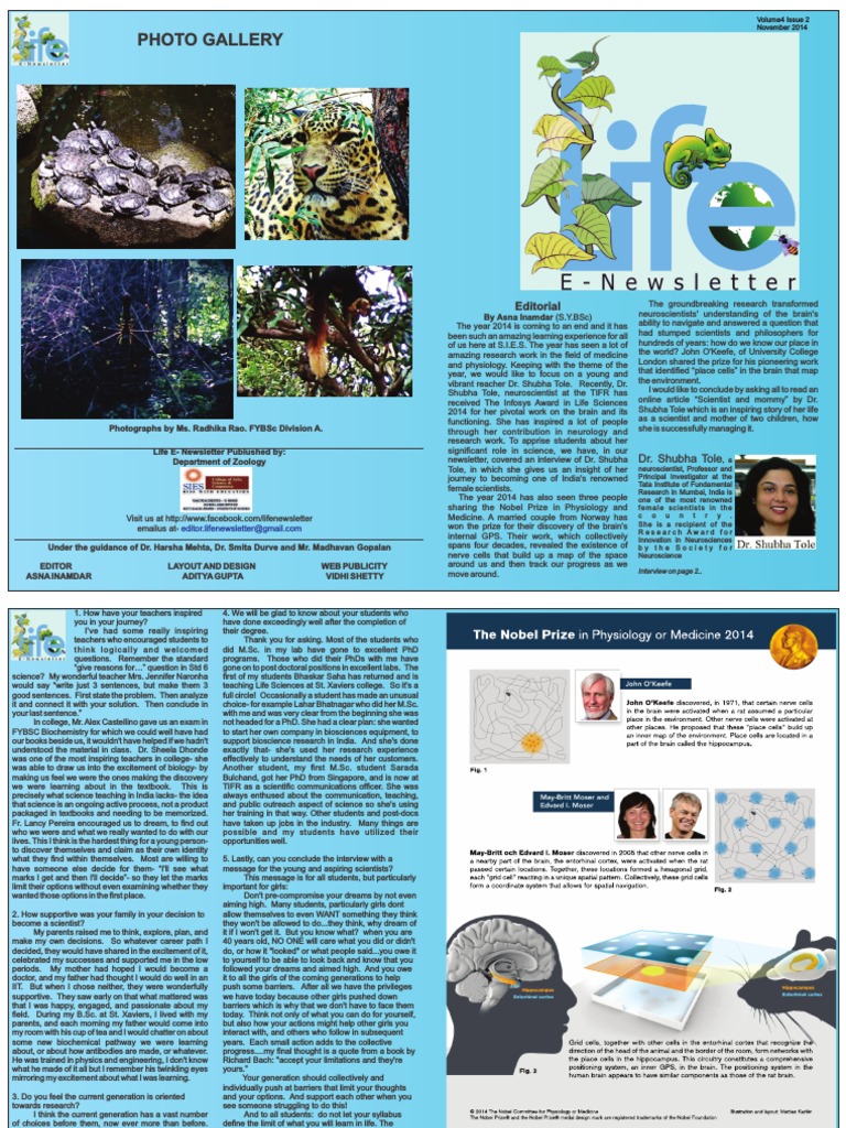 Life E-Newspaper | PDF