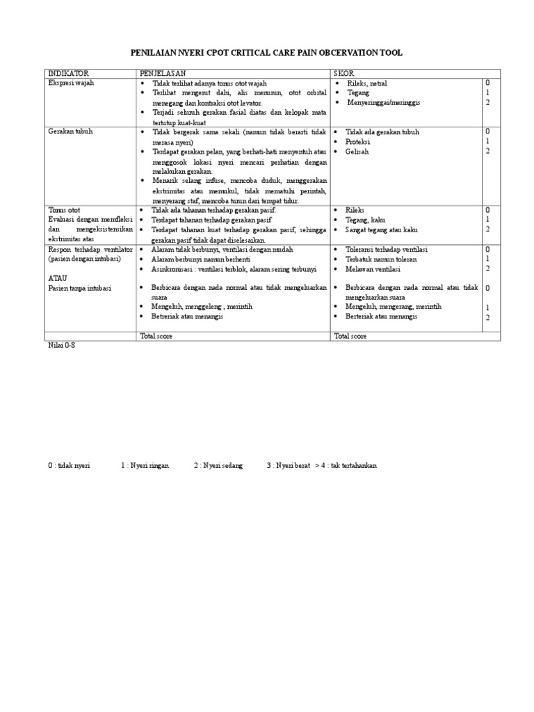 CPOT Critical Care Pain Observation Tool | PDF