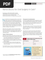 Canine and Feline Tail Amputation Guide | PDF | Surgery | Anesthesia