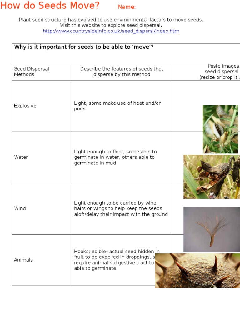 Gabriella Mathews Seed Dispersal | PDF