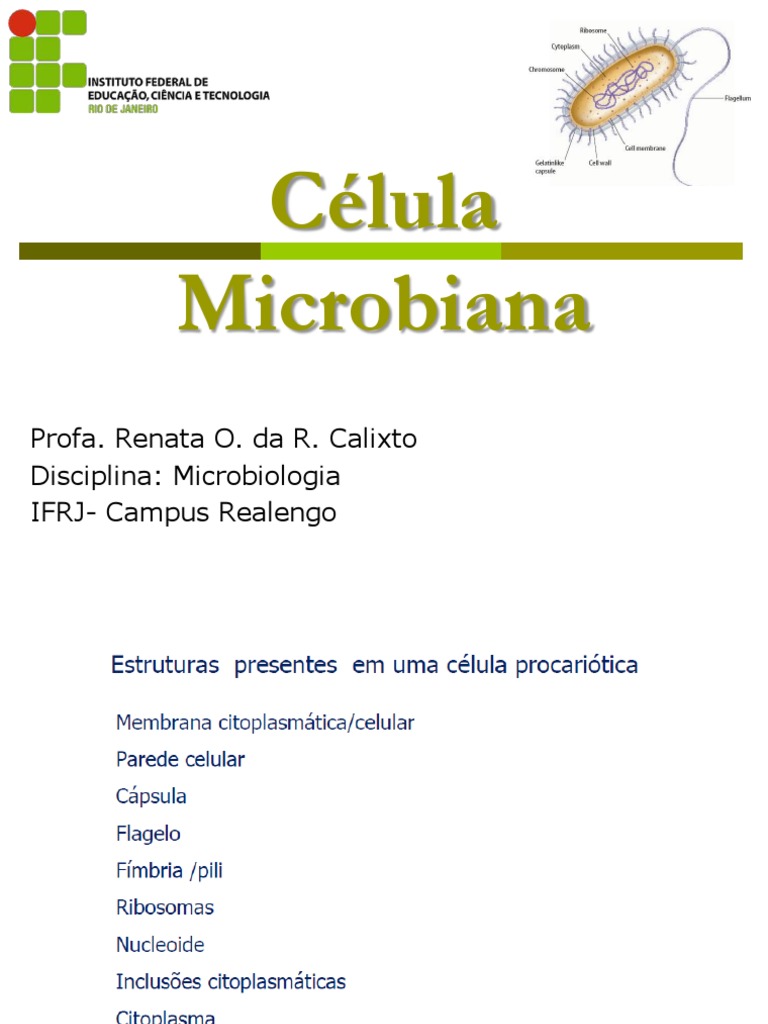 Aula 1 - Celula Microbiana PDF | PDF | Membrana celular | Parede celular