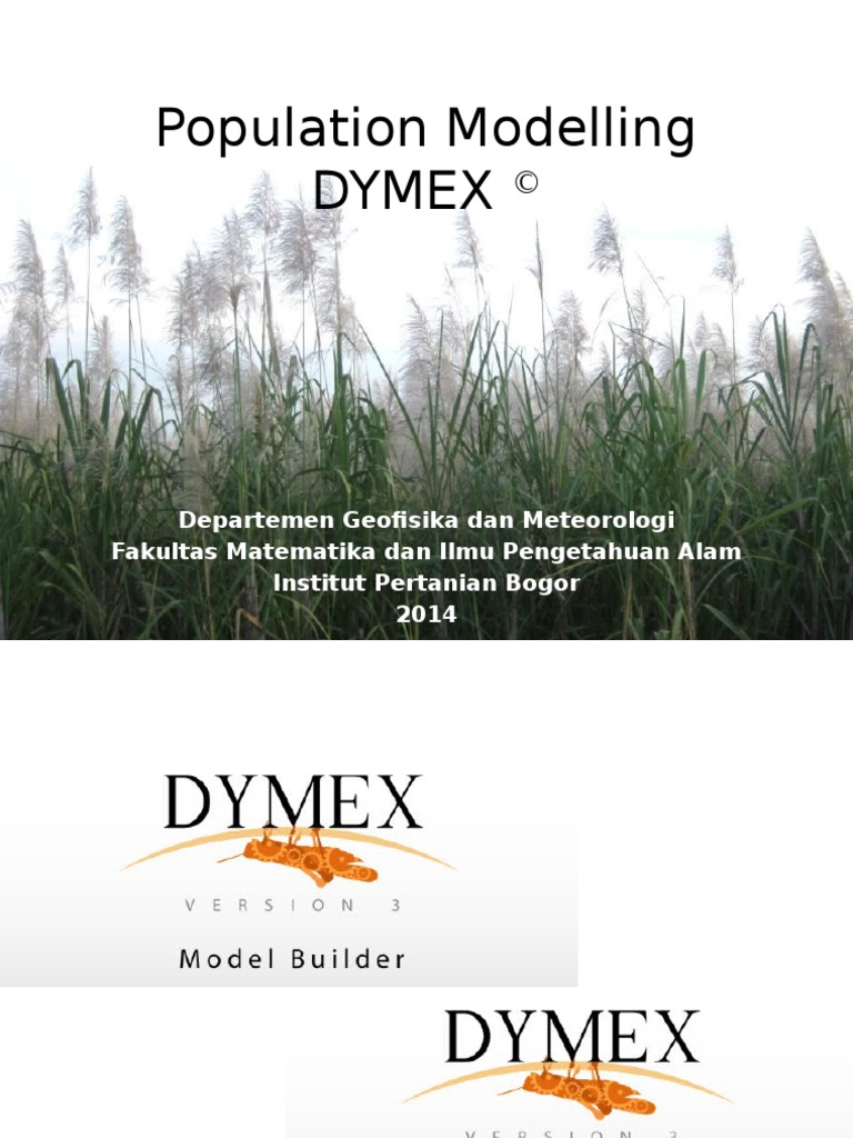 Population Modelling Dymex | PDF