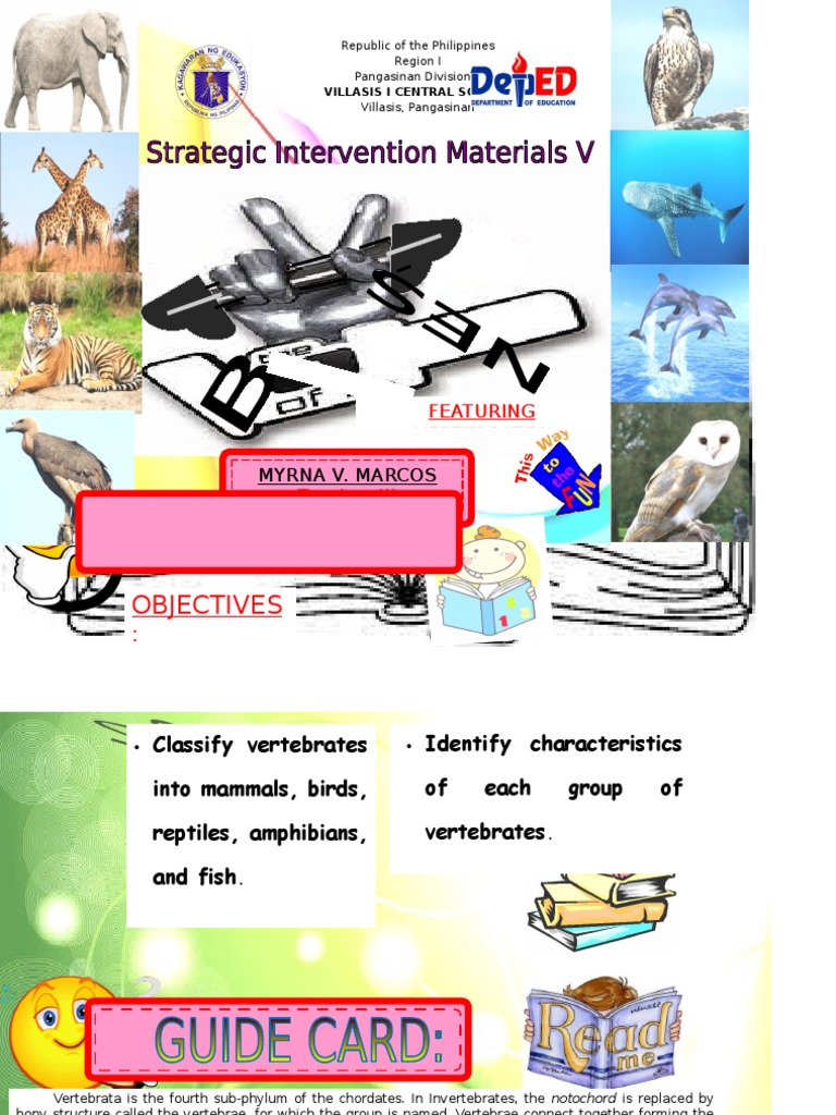 Strategic Intervention Materials | PDF | Vertebrates | Vertebral Column