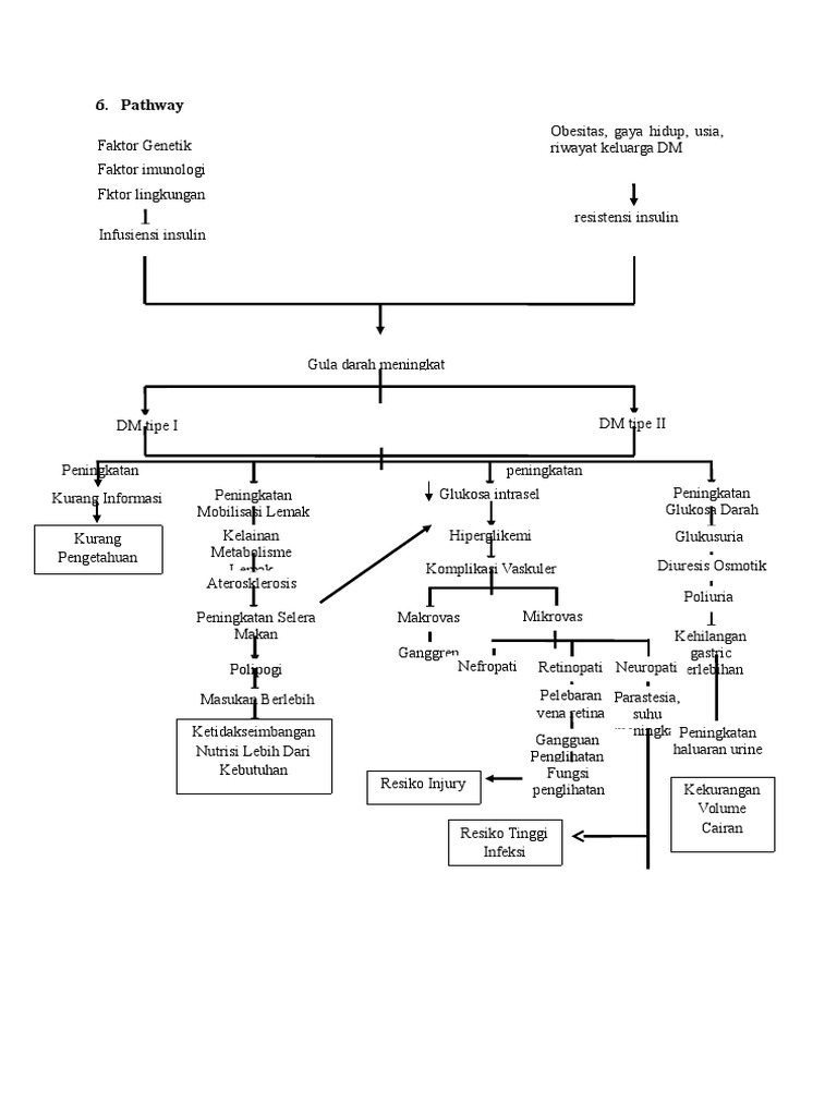 Pathway DM | PDF | Kesehatan Holistik | Teknologi & Rekayasa