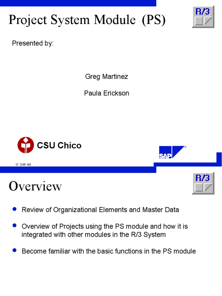 Ps Module | PDF | Business | Economies
