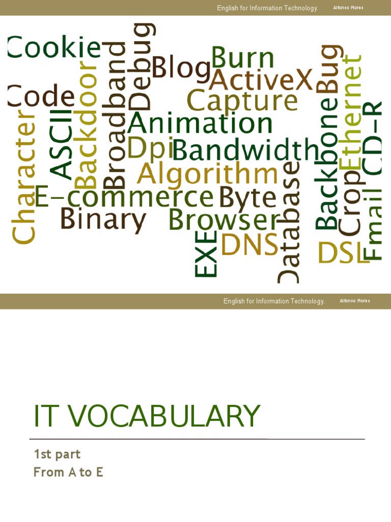 IT Vocabulary A-E: Key Terms Explained | PDF
