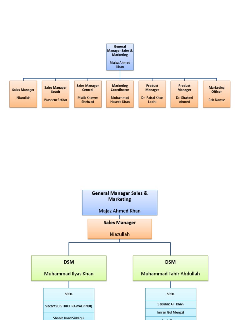 Organogram Marketing & Sales (OBS Pharma) | PDF
