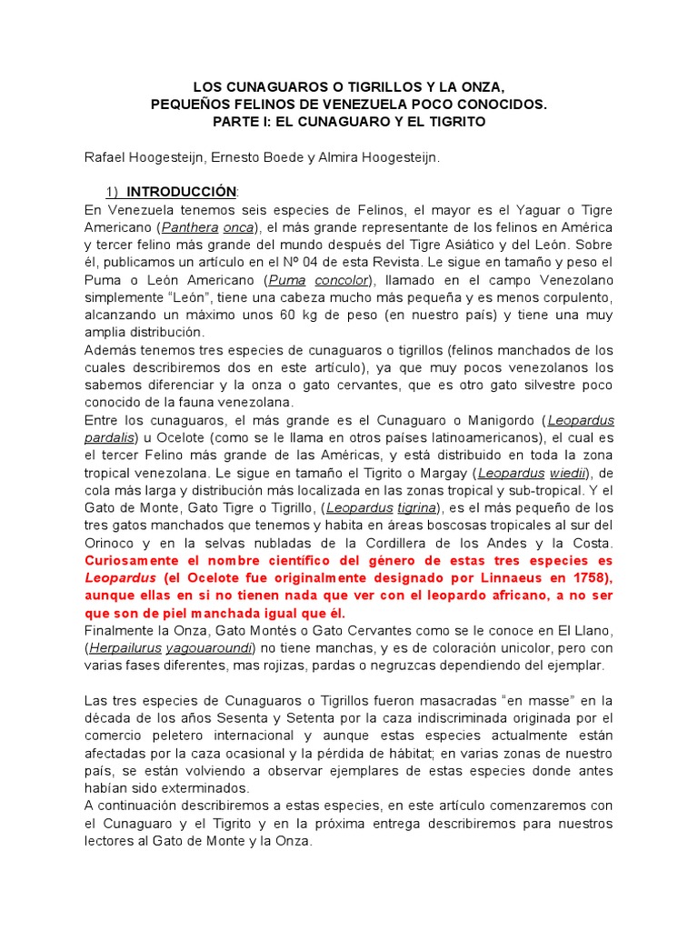 Los Cunaguaros o Tigrillos y La Onza | PDF | Jaguar | Puma