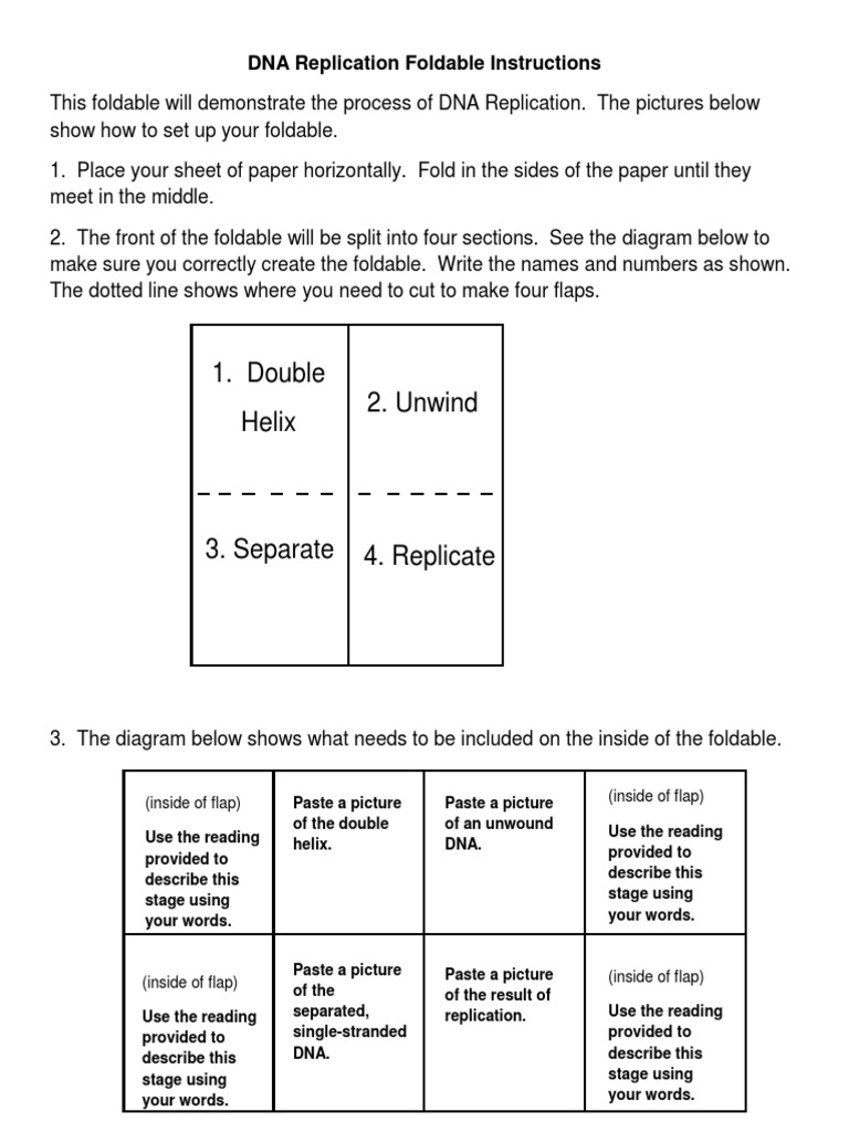 Dna Replication Foldable Instructions | PDF | Teaching Methods & Materials