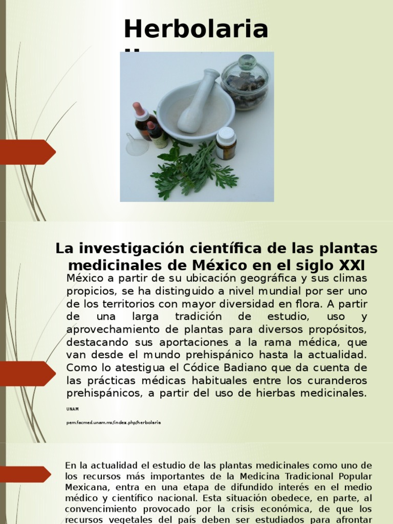 Herbolaria Siglo Xxi | Plantas medicinales | Medicamentos con receta ...