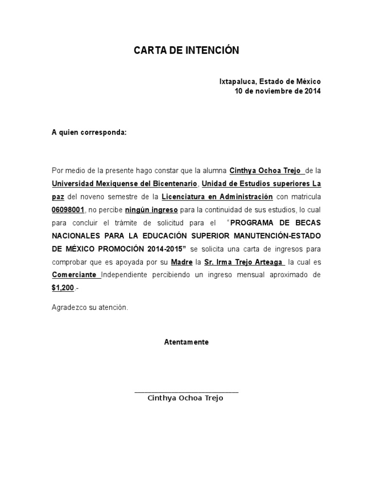 Carta de Intención | PDF