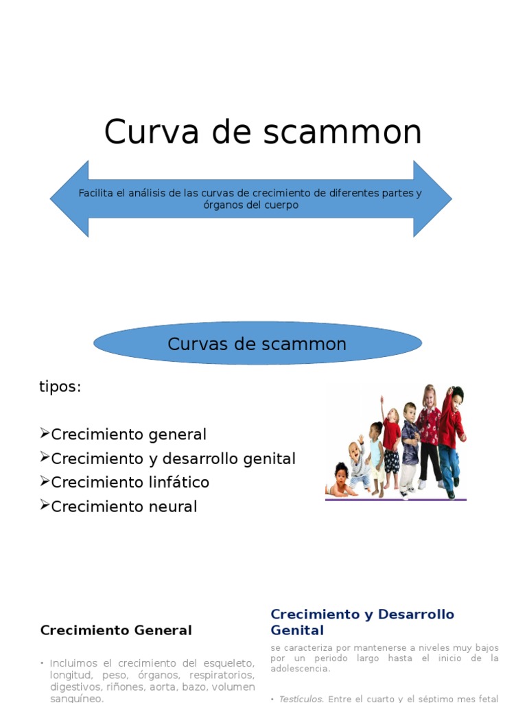 Curva de Scammon | PDF | Salud y bienestar