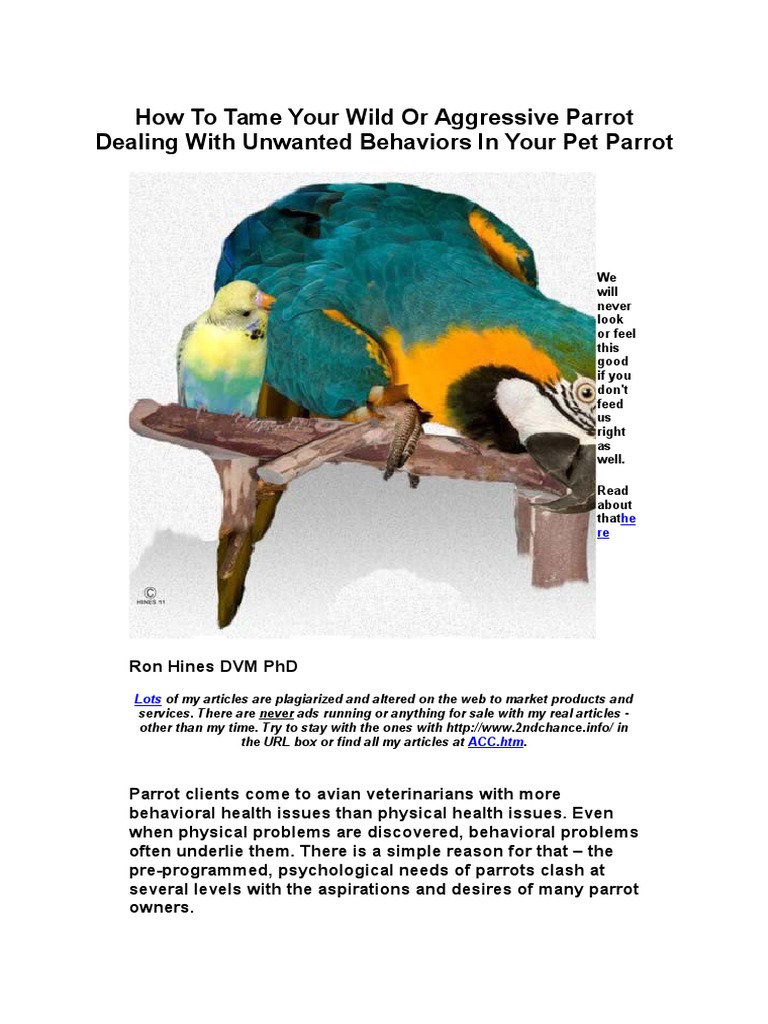 How to Tame Your Wild or Aggressive Parrot | Parrot | Aggression