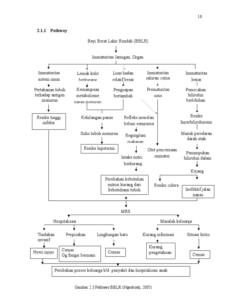 DOC) Clinical Pathway Trauma Kelahiran Infeksi Gangguan, 51% OFF