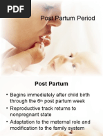 Postpartum Teaching Plan | PDF | Breastfeeding | Breast Milk