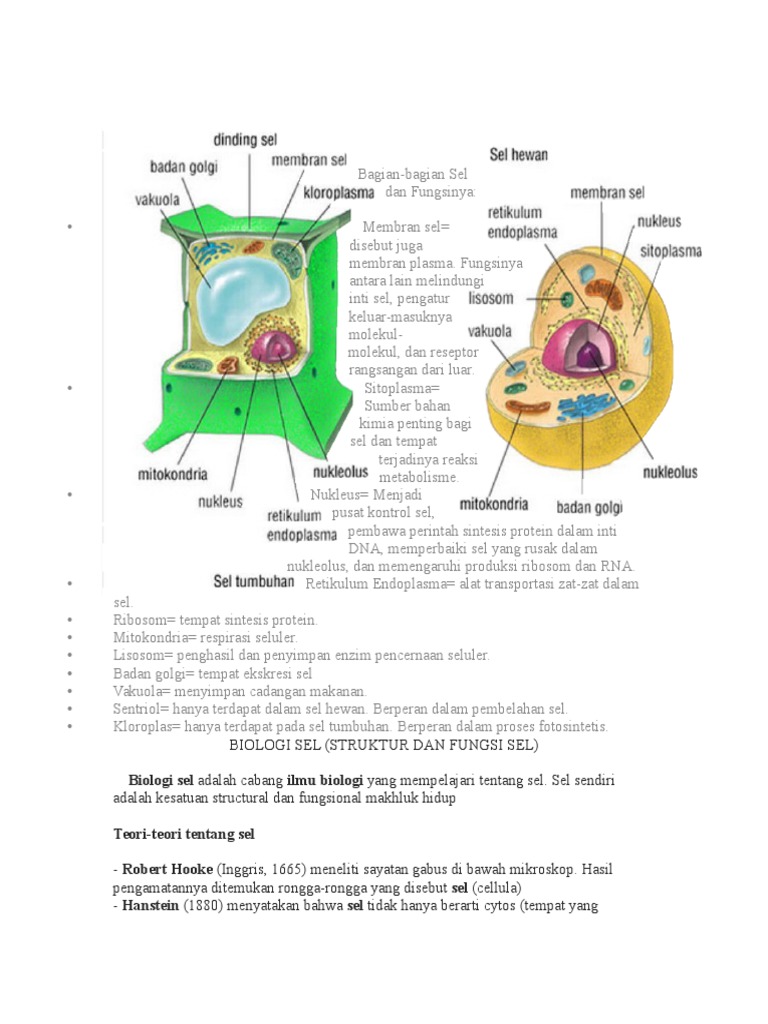 Komponen Dan Strukrur Sel Haiwan Dan Sel Tumbuhan Biologi - nerveploaty