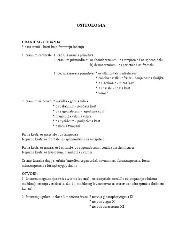 Anatomija Kosti Misici | PDF