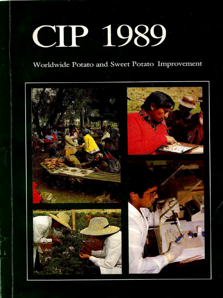 CIP Annual Report 1989 | PDF | Potato | Plant Breeding