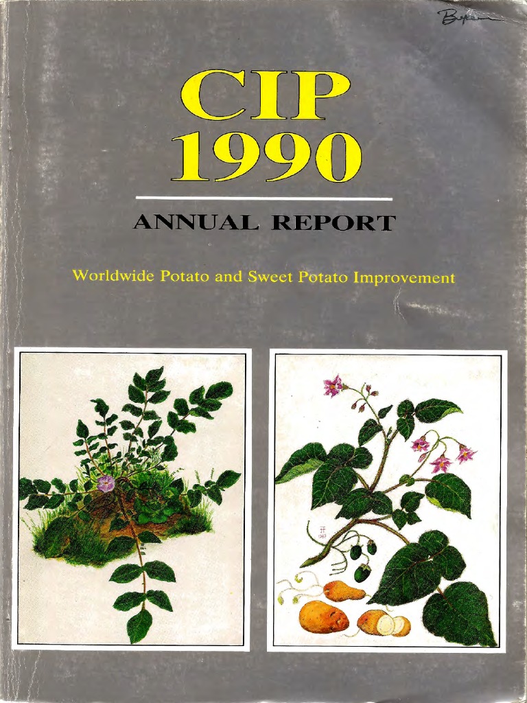 CIP Annual Report 1990 | PDF | Potato | Agriculture