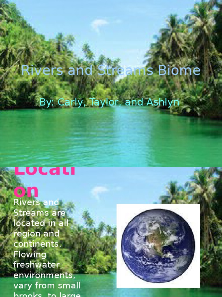 Overview of Rivers and Streams Biome | PDF | Home & Garden